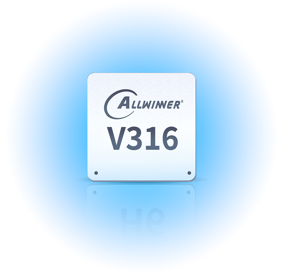 V316